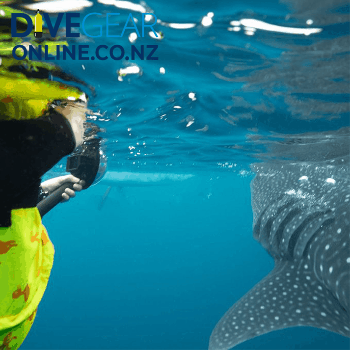 Polar Pro | Fifty Fifty Dome | GoPro | divegearonlkine NZ – Dive Gear ...